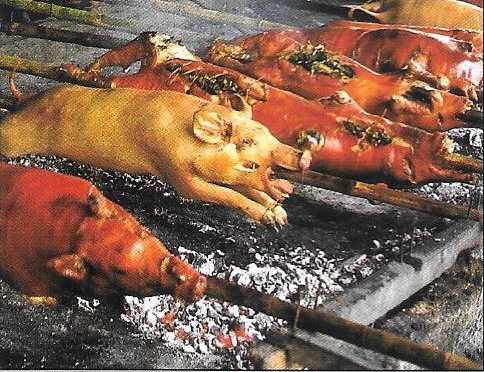 June Festival – Pigs on Parade – Subli